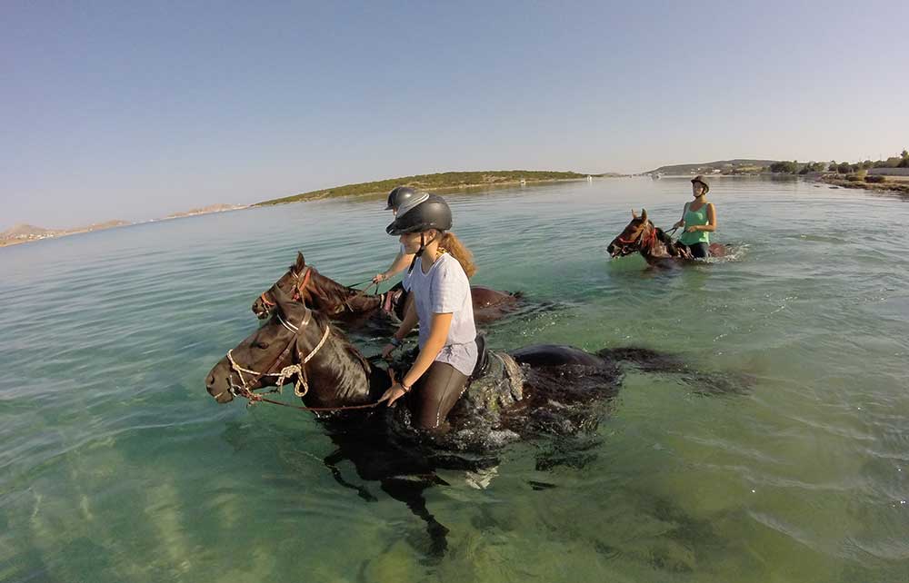 Sunrise Horseback Riding & Swimming With Horses - GreeceHopAdventures